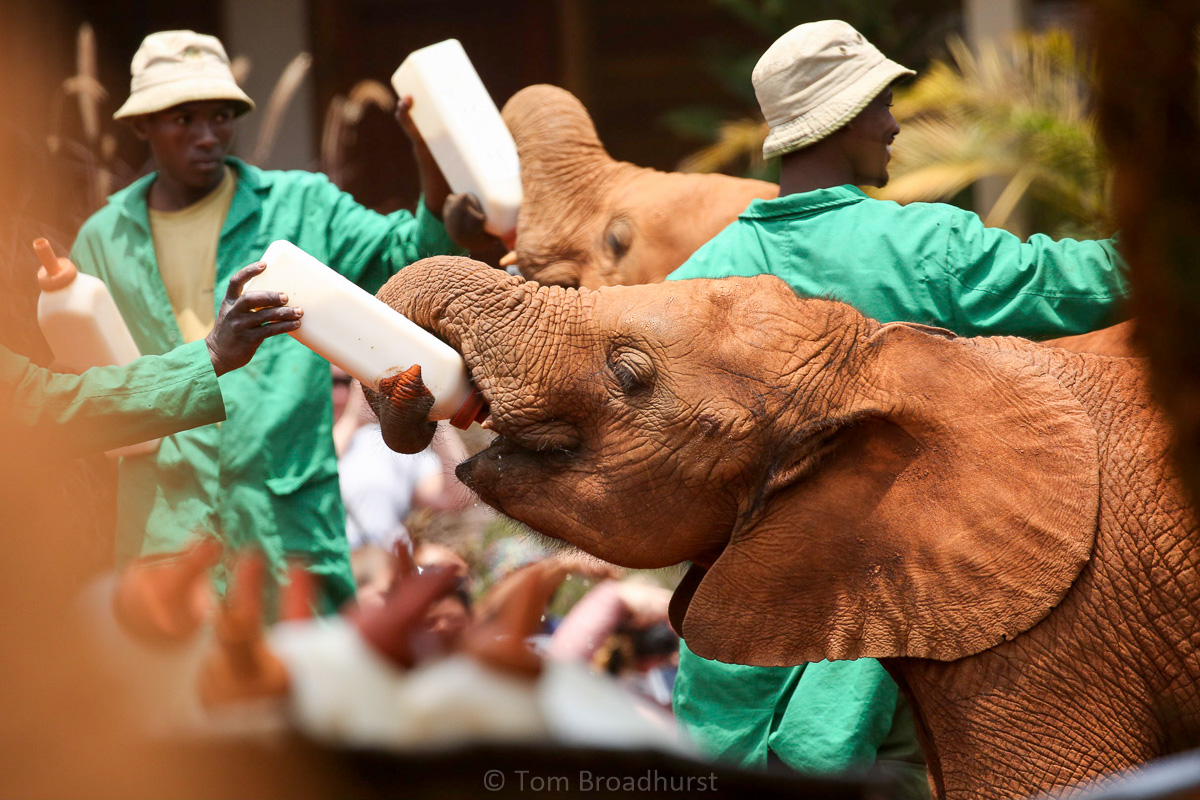 Tom Broadhurst Photography – Travel, conservation and humanitarian ...