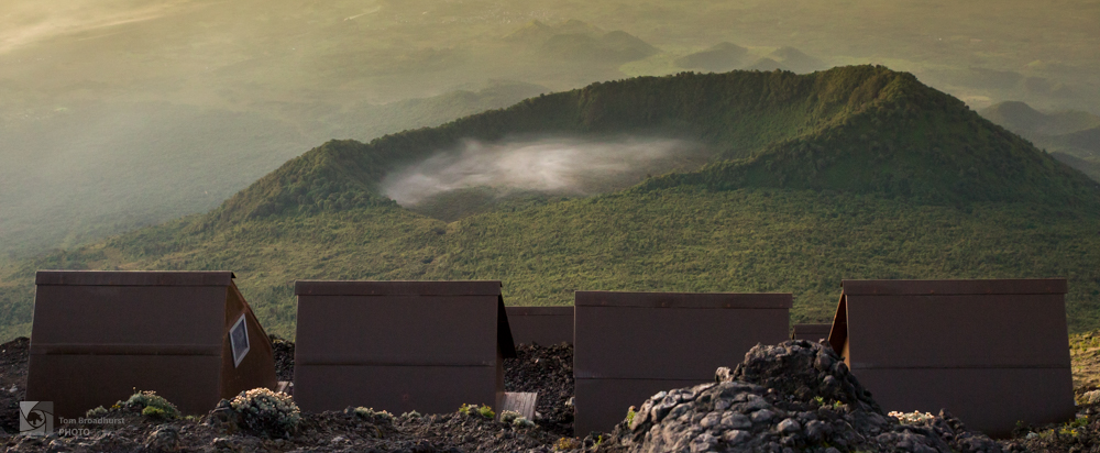Remembering Past Adventures: Climbing an Active Volcano in D.R. Congo ...